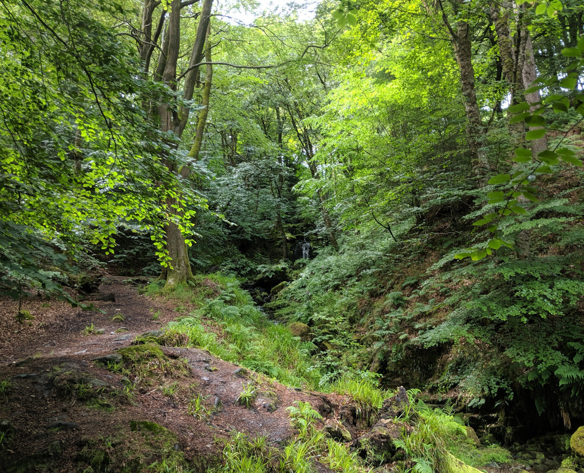 Summer at the Crags - Hardcastle crags